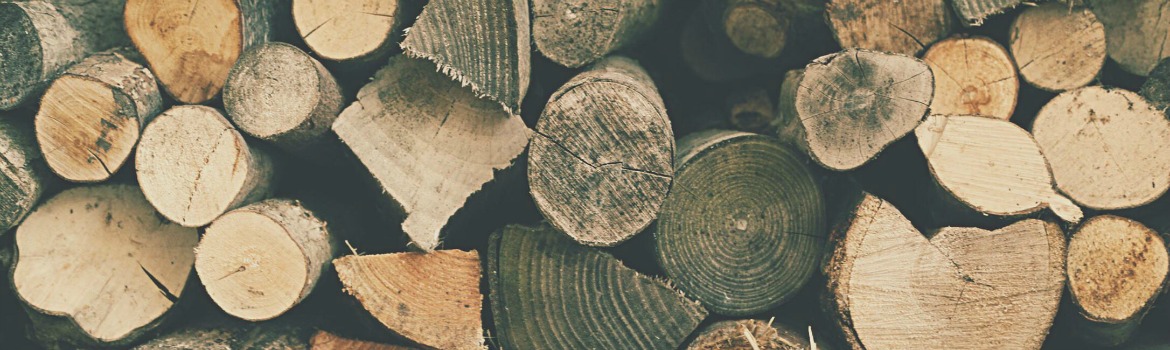 Hoe word je een succesvolle ondernemer? Dit is de gouden formule ...