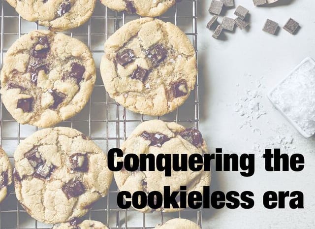 De Cookieless Era komt eraan - Frankwatching Business Channel