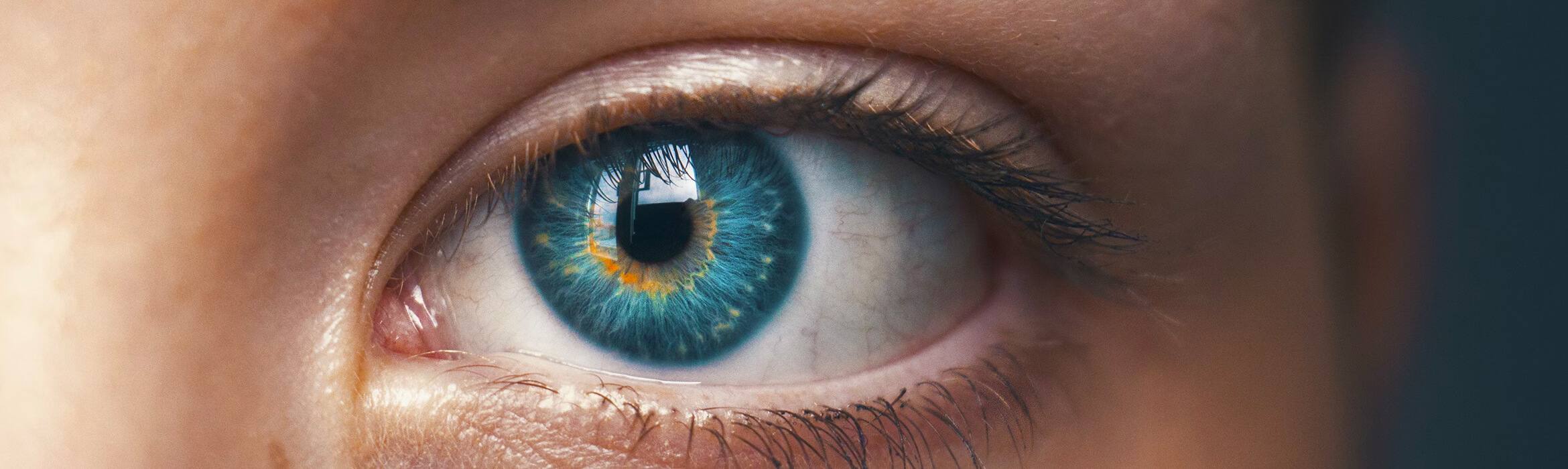 9 AI-tools die je leven een stuk makkelijker maken - Frankwatching