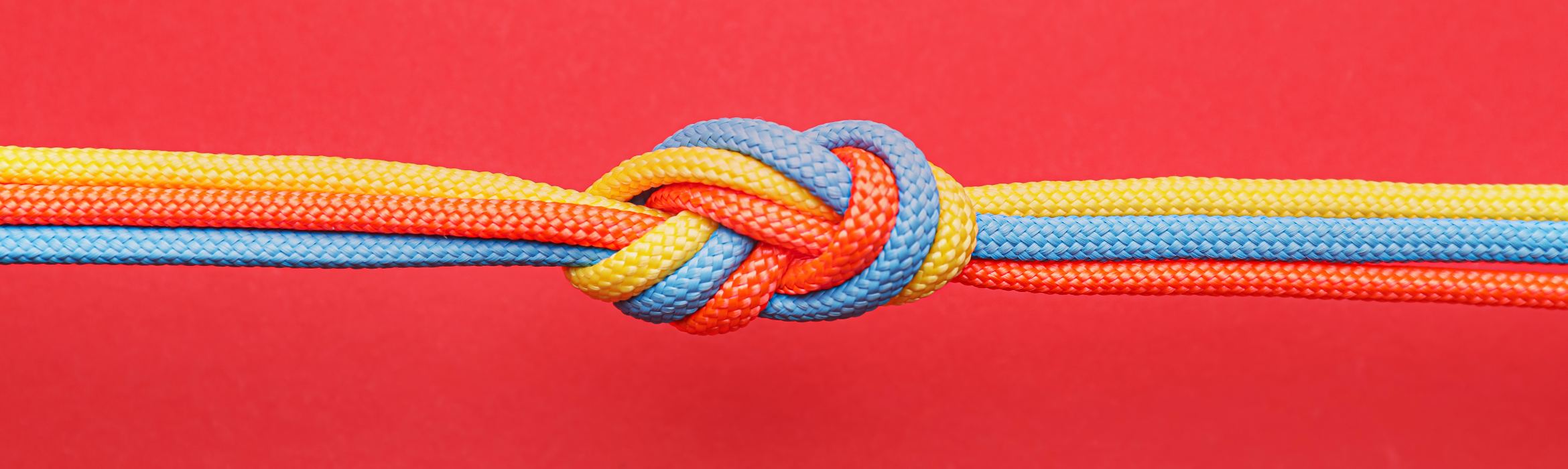 ChatGPT API: gamechanger voor je bedrijfsprocessen - Frankwatching