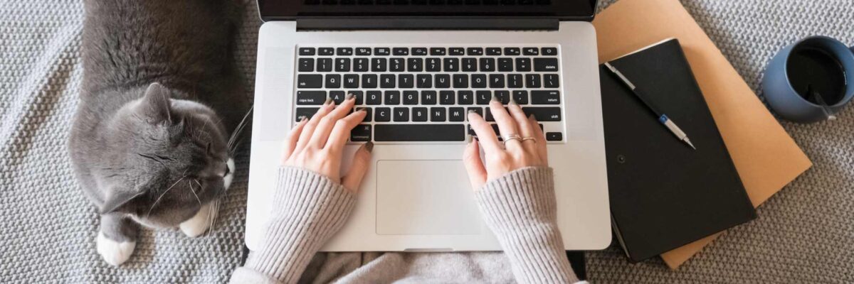 Leer gratis programmeren met deze 15 websites & apps - Frankwatching