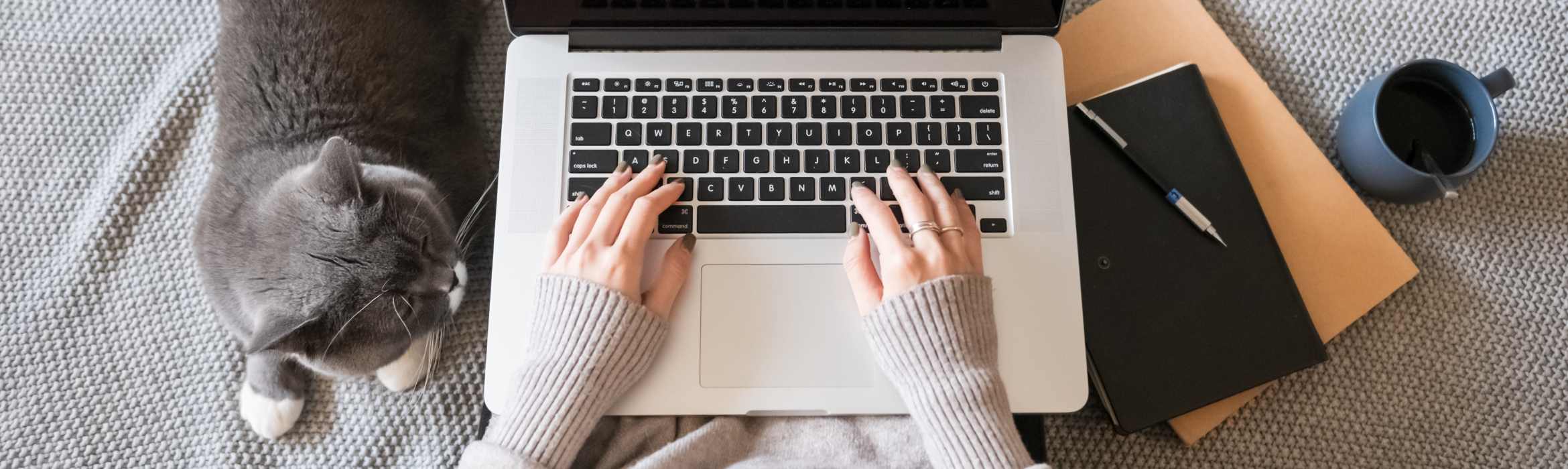 Leer gratis programmeren met deze 15 websites & apps - Frankwatching