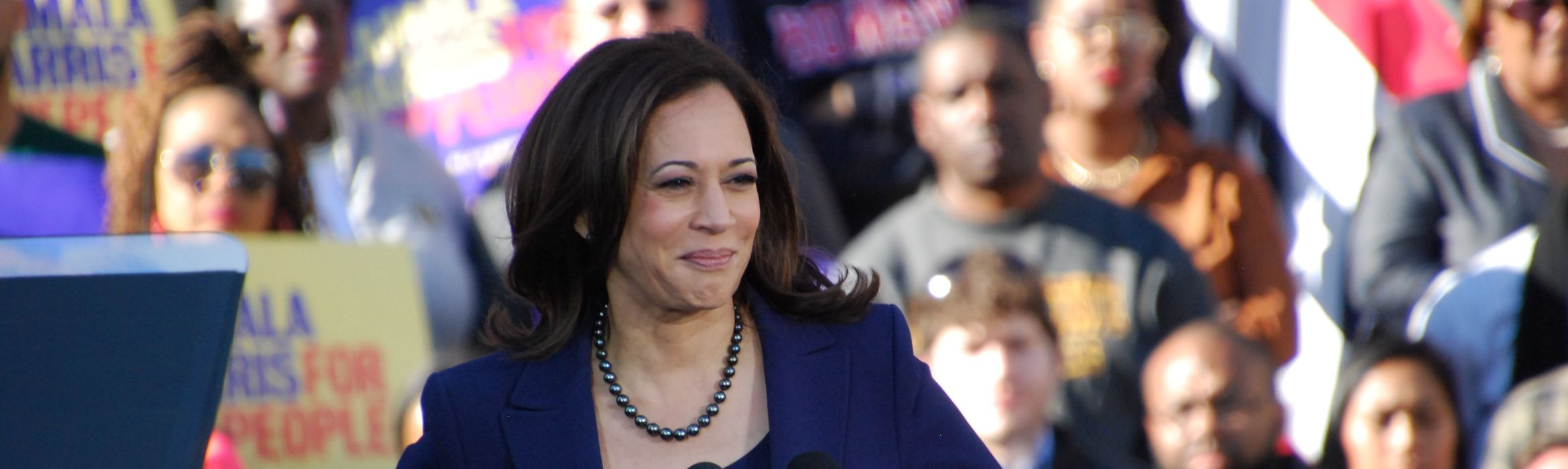 Helpen memes en virals Kamala Harris naar de overwinning? - Frankwatching