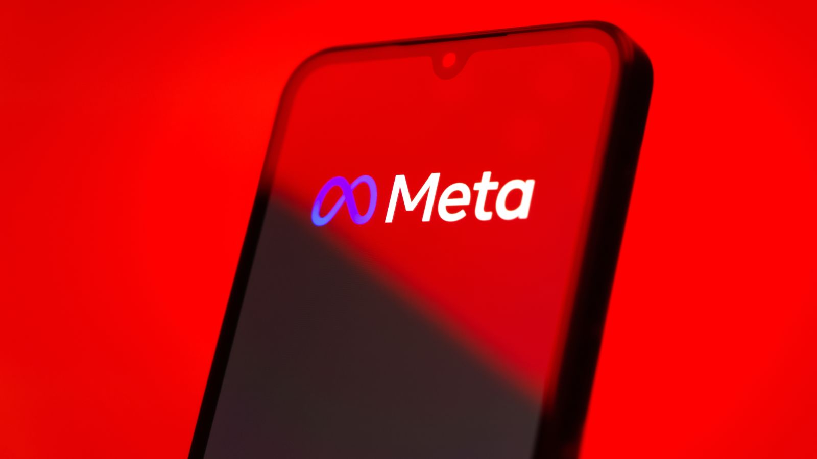 Einde verhaal voor Meta ads bij de overheid? Zó bereid jij je voor [5 ...